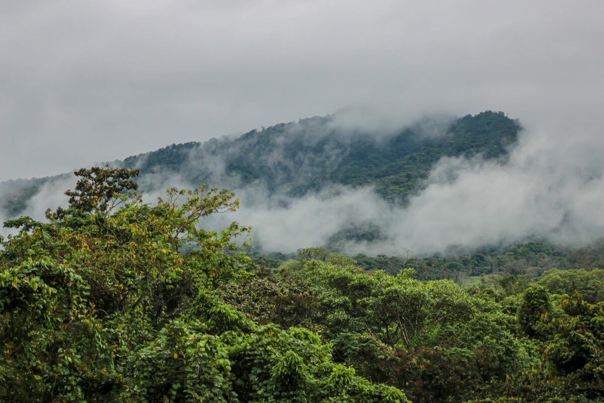 La Fortuna i wulkan Arenal – co zobaczyć i kiedy jechać?