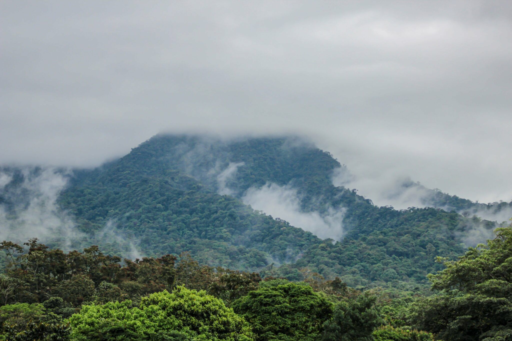 La Fortuna i wulkan Arenal – co zobaczyć i kiedy jechać?